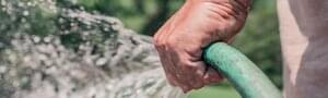 Gardener Job Description (Skills, Duties and Career) | Jobted UK