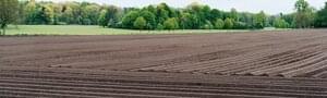 Ouvrier Agricole (Fiche Métier) : Compétences, Formation | Jobted